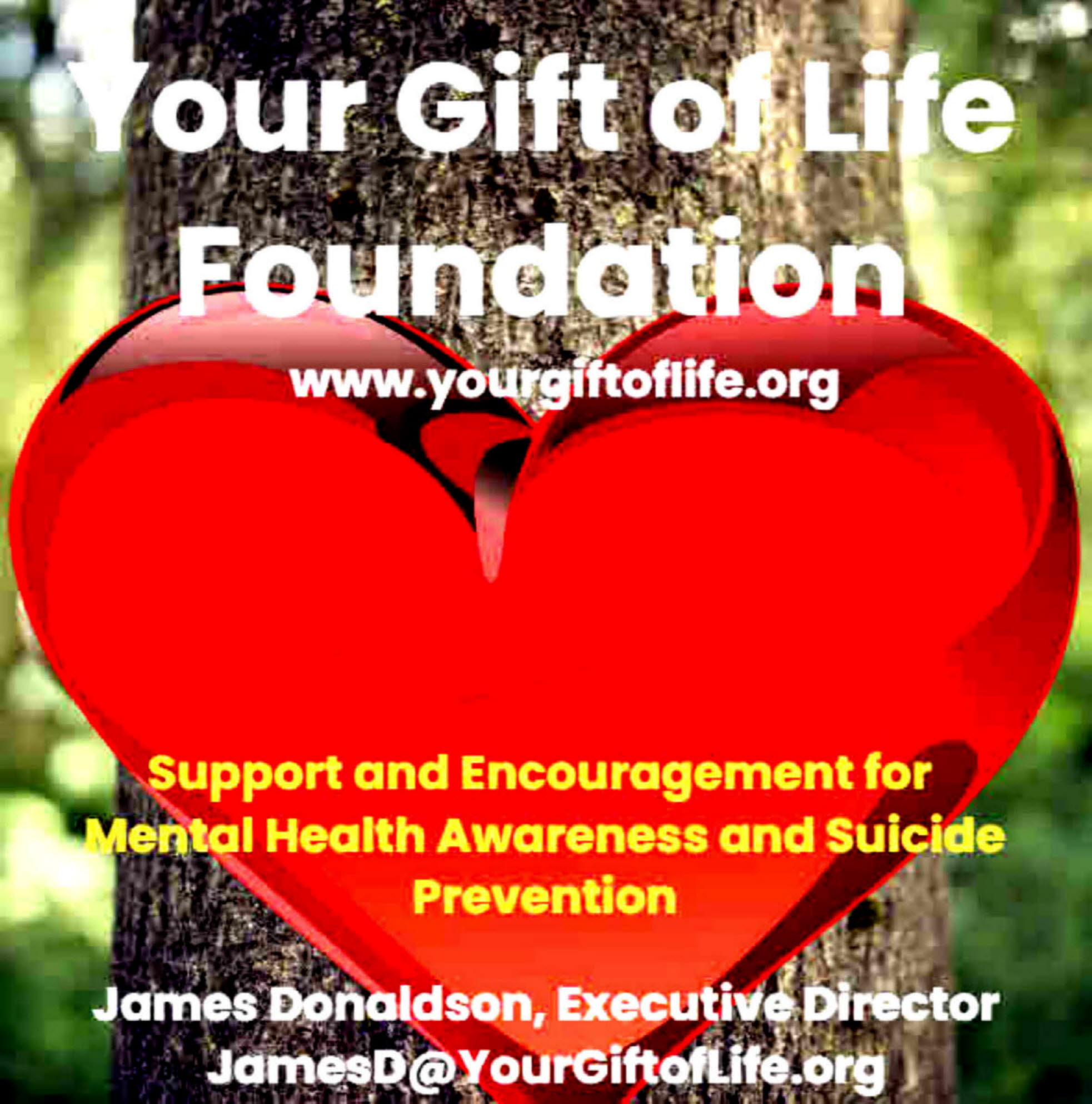 A Non-Profit Foundation in Seattle, WA